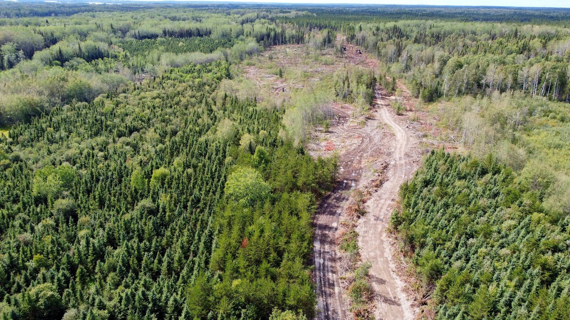 Propriétés - 735 Route Principale Authier-Nord - Les immeubles EXCELL